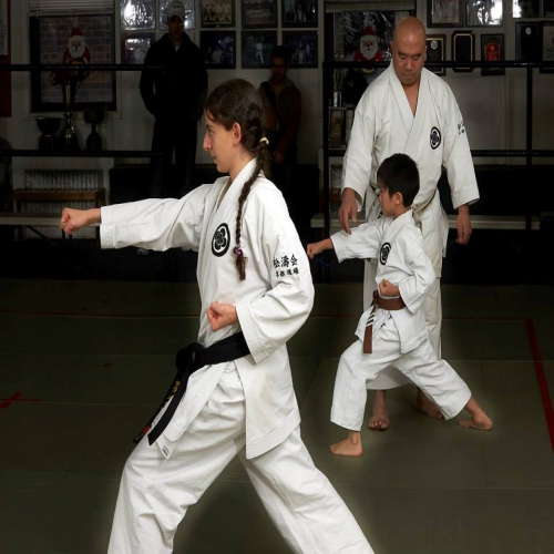 Karate – Shotojuku