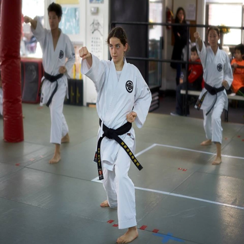 Karate – Shotojuku