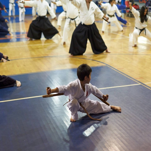 Kobudo – Shotojuku